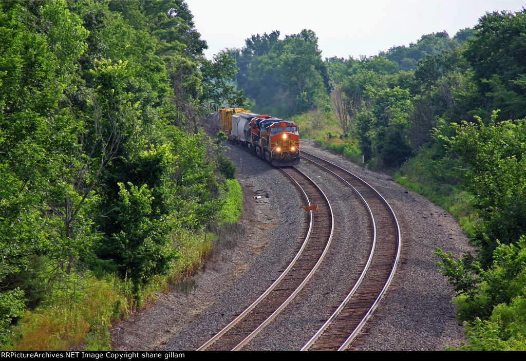 BNSF 4533 Oh Deer Run Bambi!!!